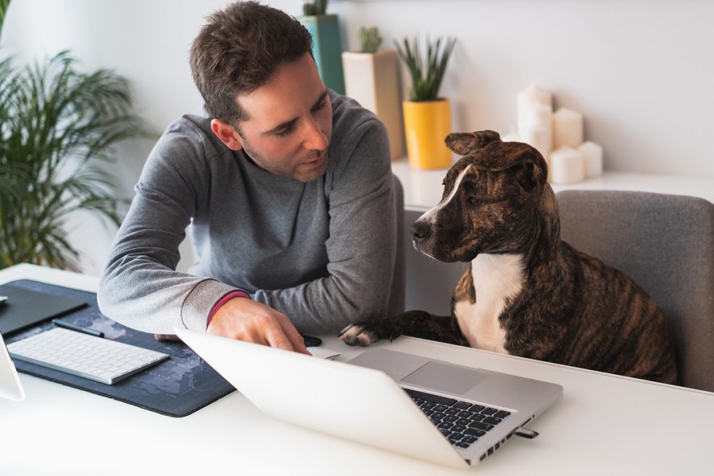 Lefzen beim Hund - was ist das? - Hundemagazin.info