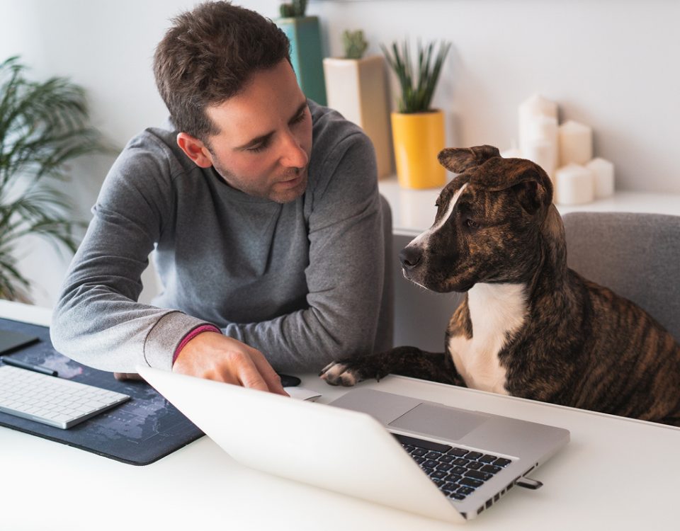 Lefzen beim Hund - was ist das? - Hundemagazin.info